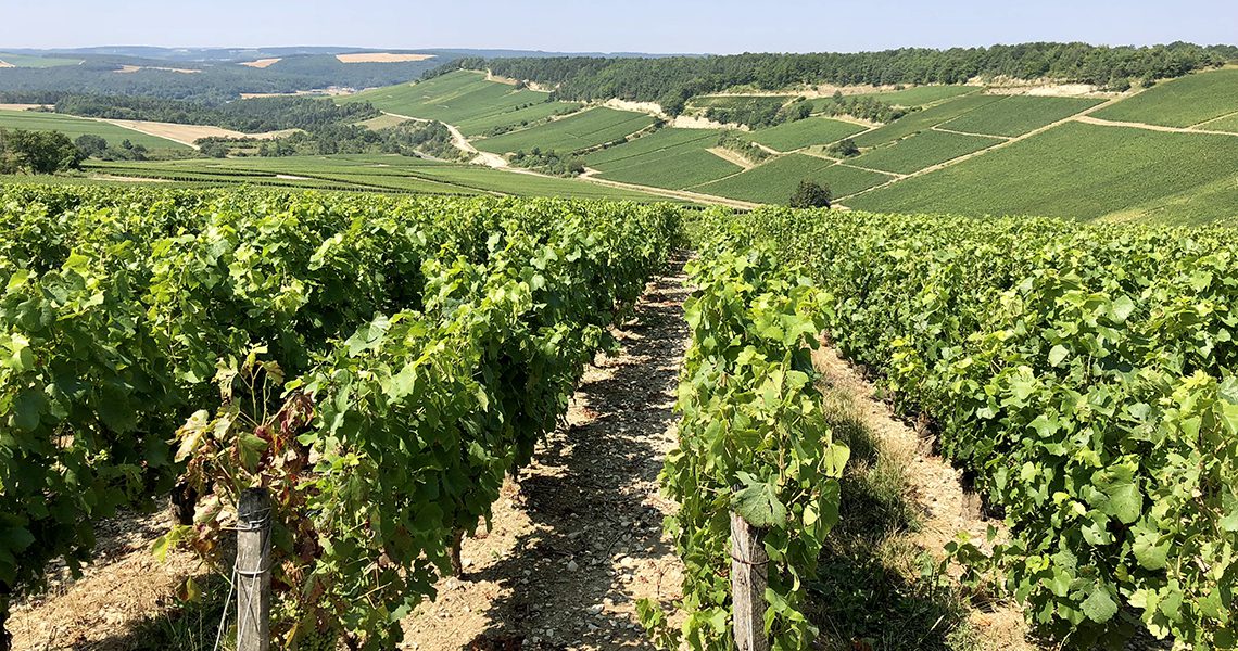 Medieval Route of Rashi in Champagne - European Jewish Heritage powered ...