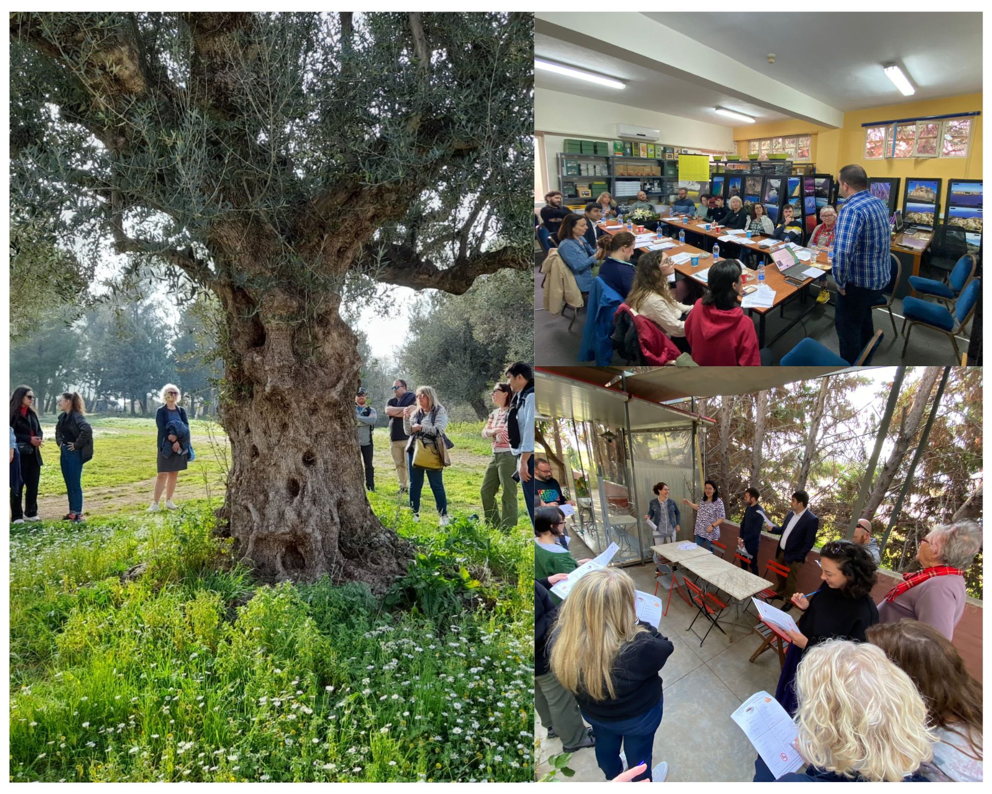 Youth4Culture Training Continues in Kalamata in the Final Stage of the ...